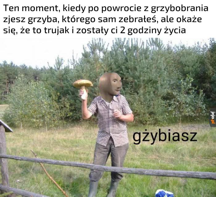 Grzybobranie Jeja Pl