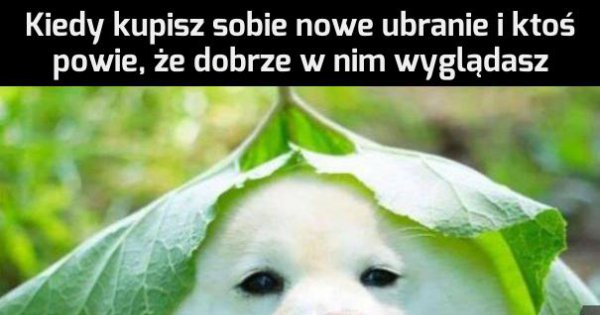 Najlepiej Jeja Pl