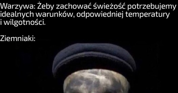 Lod Wka Na Co To Komu Jeja Pl