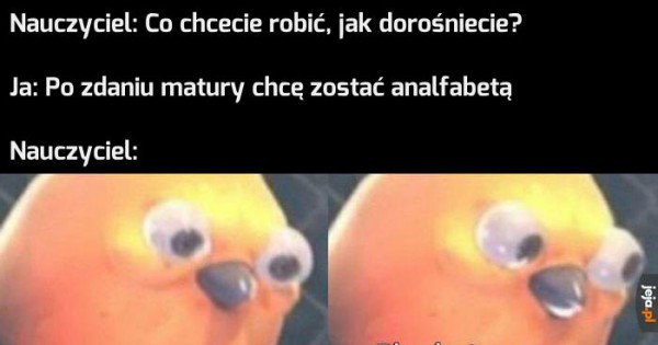 To W Og Le Mo Liwe Jeja Pl