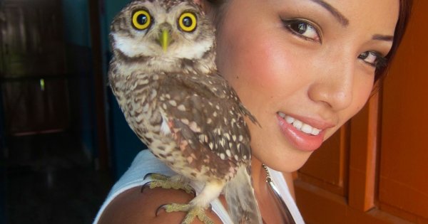 Oswojona sowa - filmiki Jeja.pl