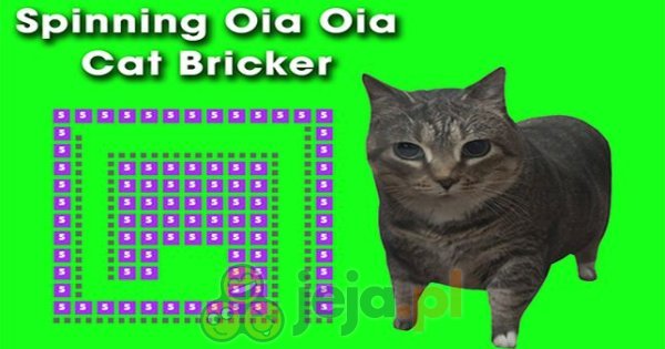 UIA UIA Cat - gry Jeja.pl