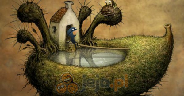 Questionaut - gry Jeja.pl