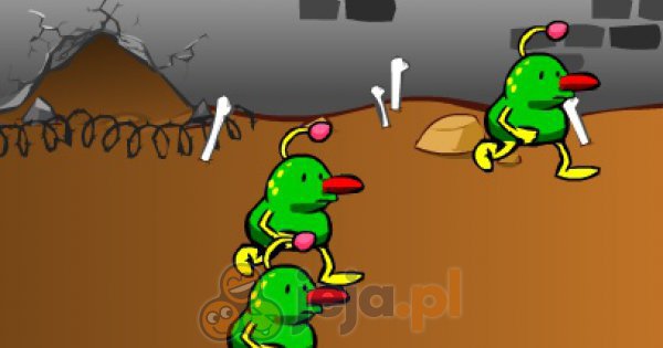 Quibble race - zakłady - gry Jeja.pl