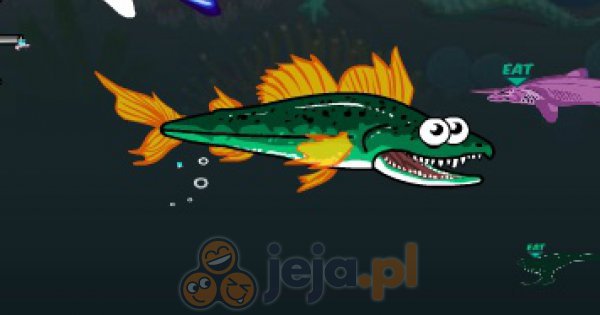 Evolvo Plus - gry Jeja.pl