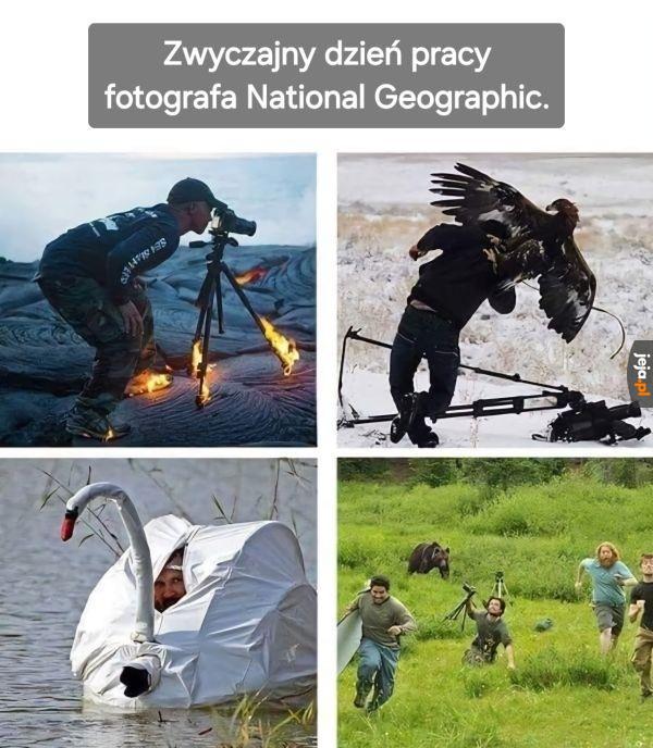 W sumie fajna fucha - Jeja.pl