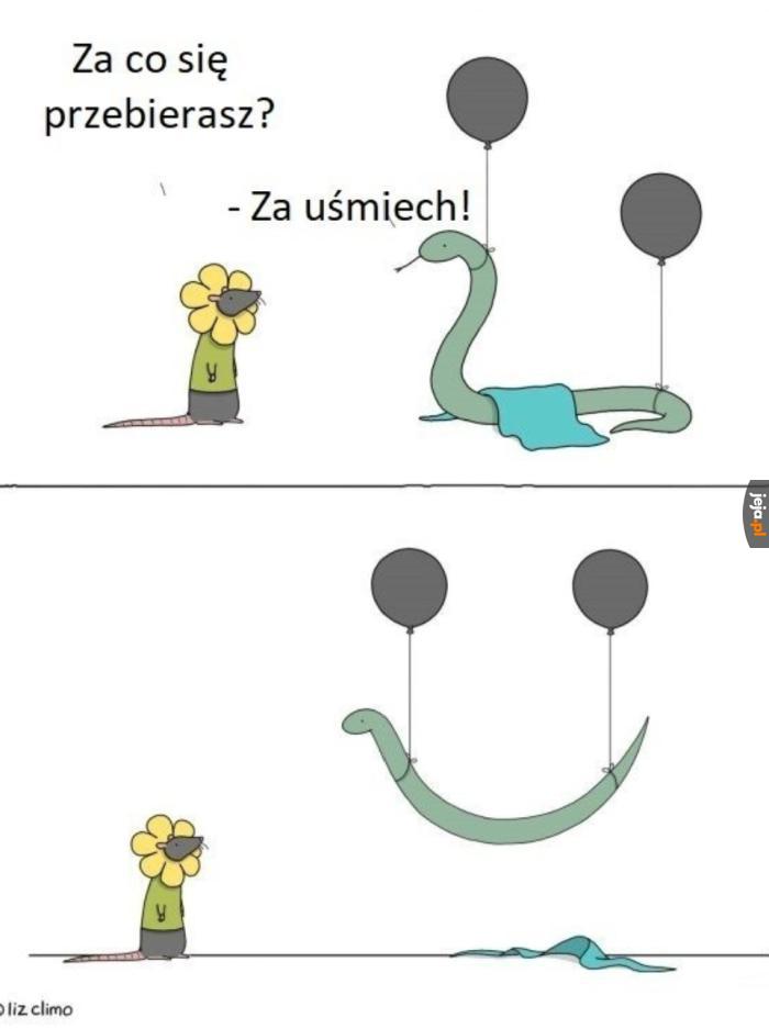Wholesome Jeja pl