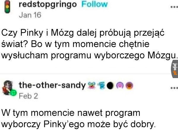 Czat szczerze czy Pinky też wygrałby z Trzaskowskim? - Jeja.pl