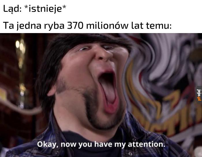 Bardzo fajna ziemia - Jeja.pl