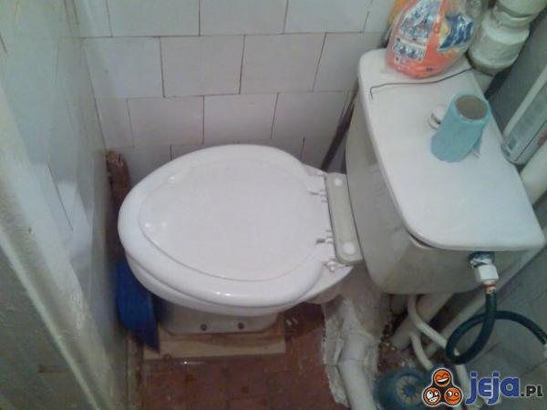 Toaleta - Jeja.pl