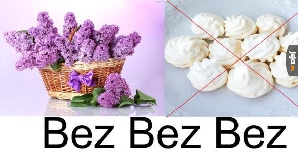 Bez bez bez - Jeja.pl