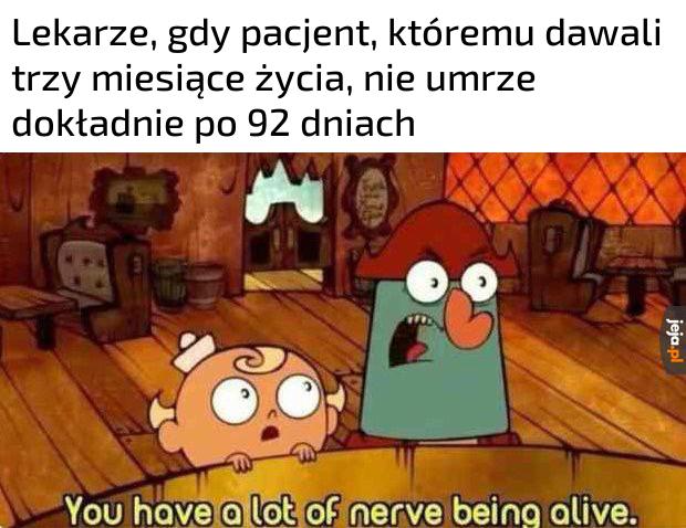 Memy i Obrazki na Jeja.pl z kategorii Memy