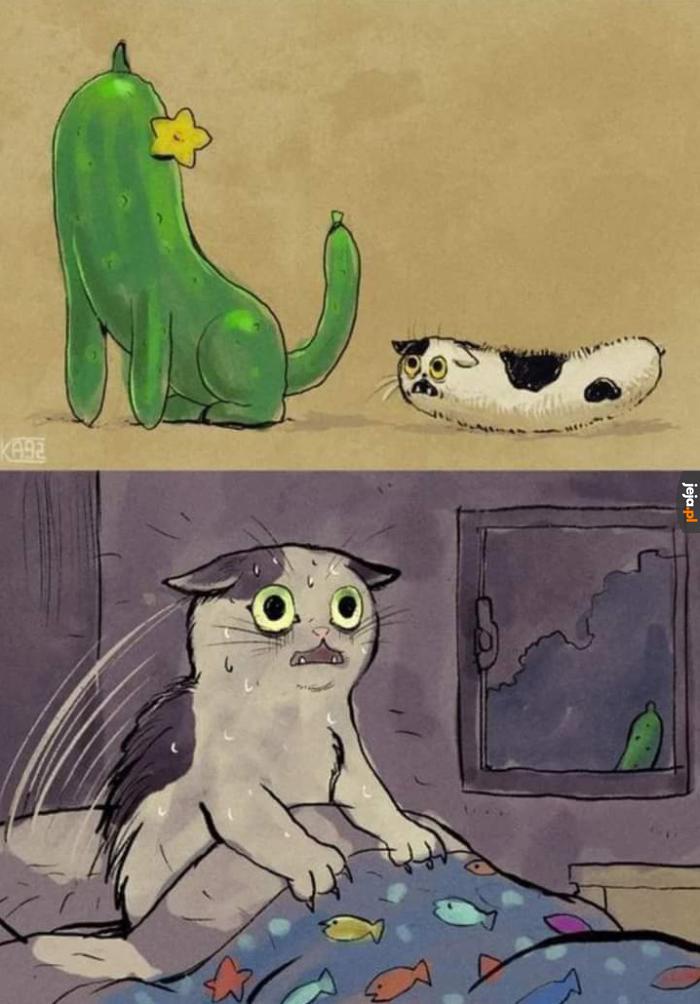 Najwększy koci koszmar - Jeja.pl