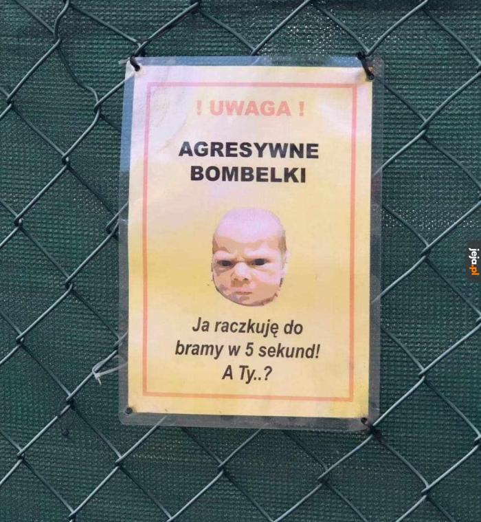 Dobre wieści z Wielkiej Brytanii, miejmy nadzieję - Jeja.pl Dobre wieści z Wielkiej Brytanii, miejmy nadzieję - Jeja.pl