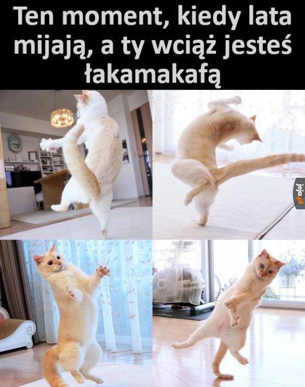 To jak z jazdą na rowerze - nie umiem jeździć na rowerze - Jeja.pl