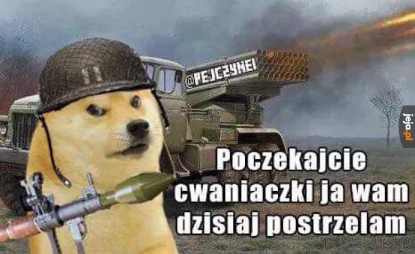 Zemsta będzie słodka - Jeja.pl