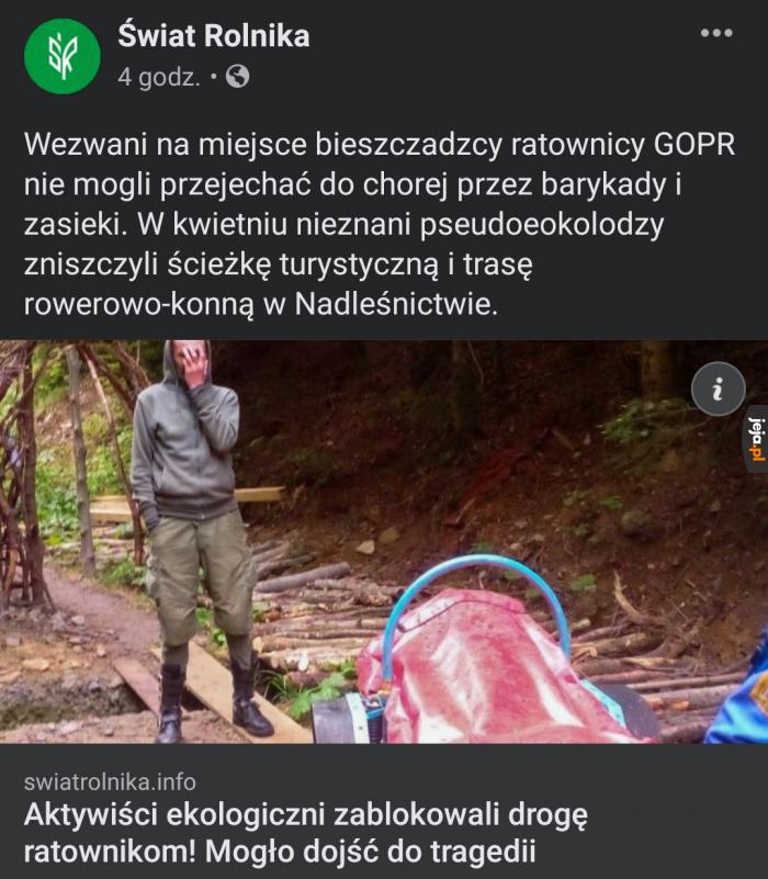 Brawo - Jeja.pl