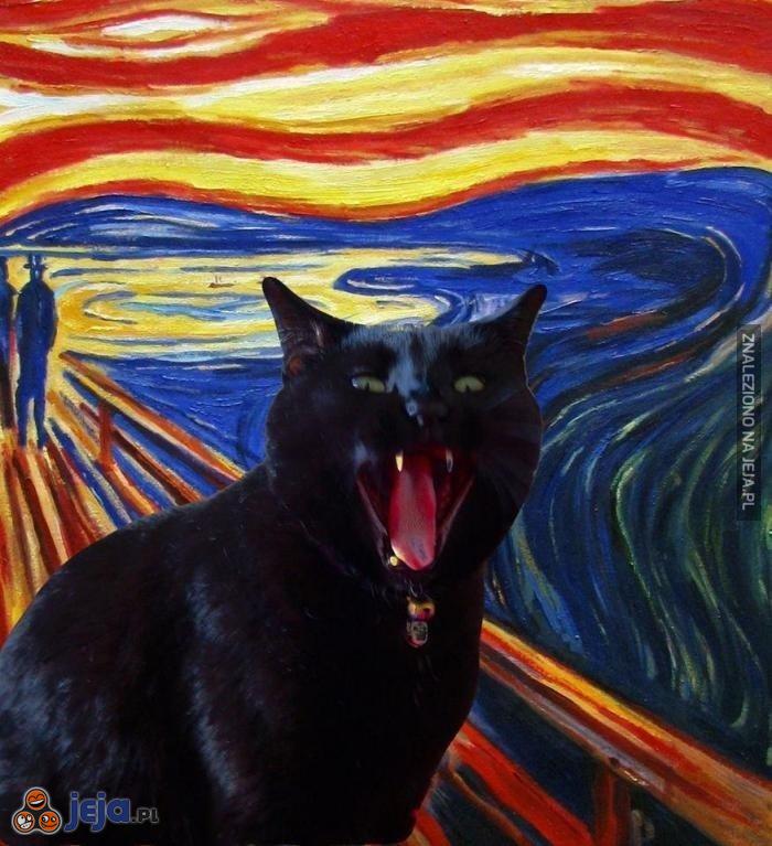 "Krzyk" Pana Koteła - Jeja.pl