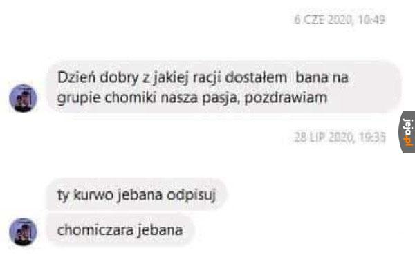 Chomik 484+ Najlepszych Memów Jeja.pl