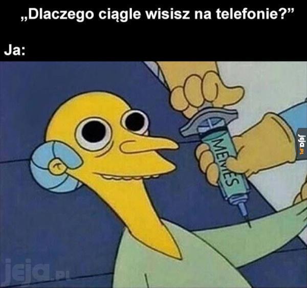 Memy is love, memy is life - Jeja.pl