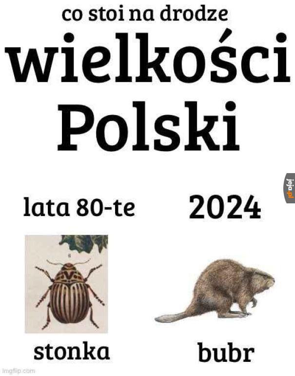 Śmieszne Memy i Obrazki na Jeja.pl - Nowe
