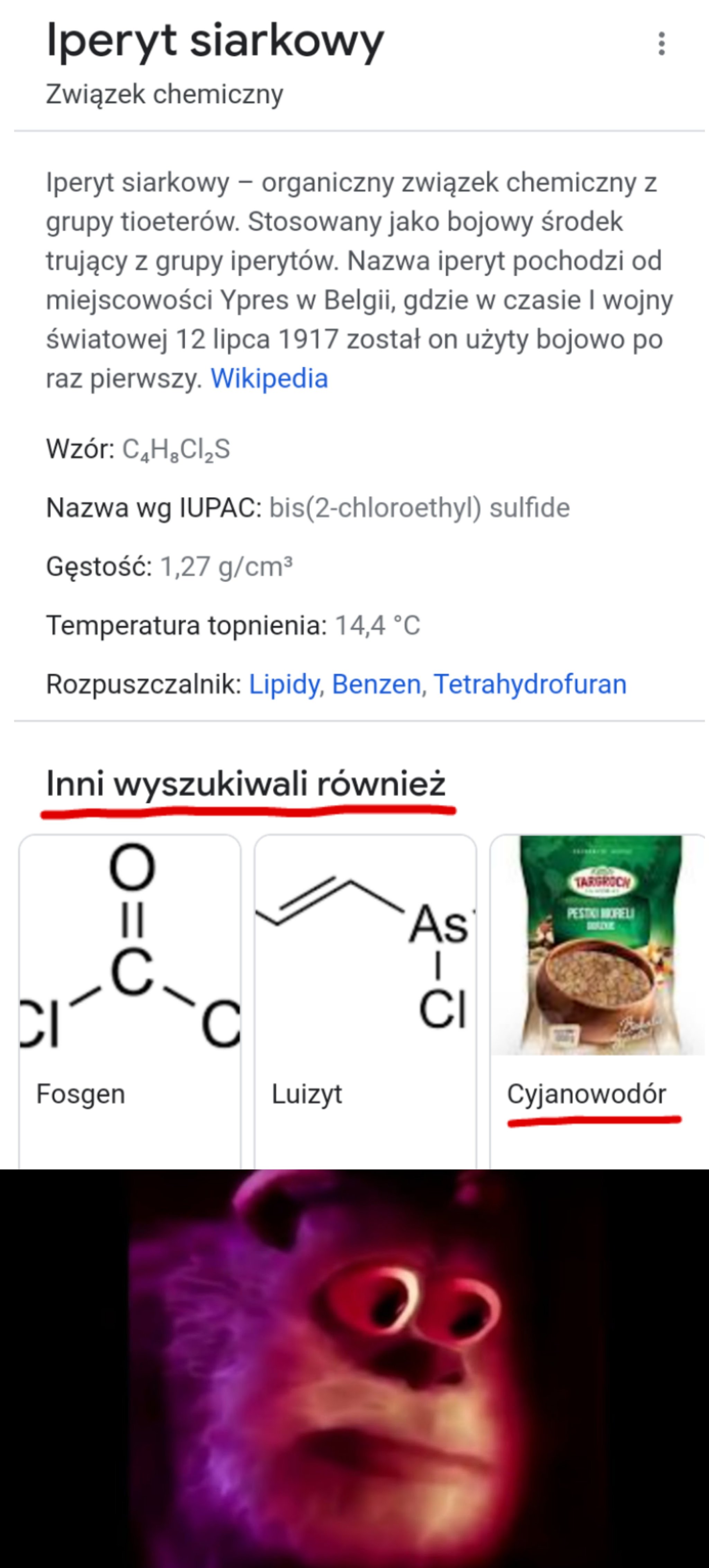 Szacun - Jeja.pl