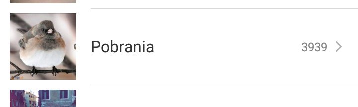 Folder Memy: 6295 plików - Jeja.pl