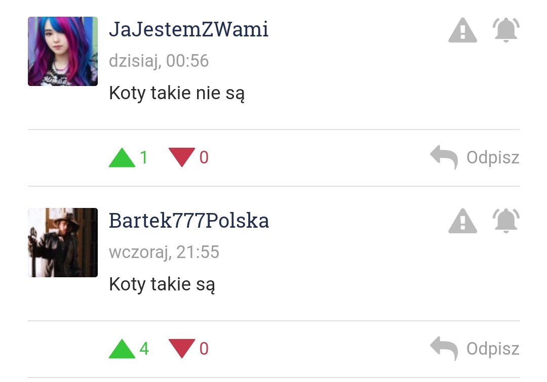 Kitku - Jeja.pl