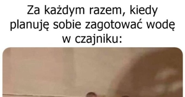 Chomik 470+ Najlepszych Memów Jeja.pl