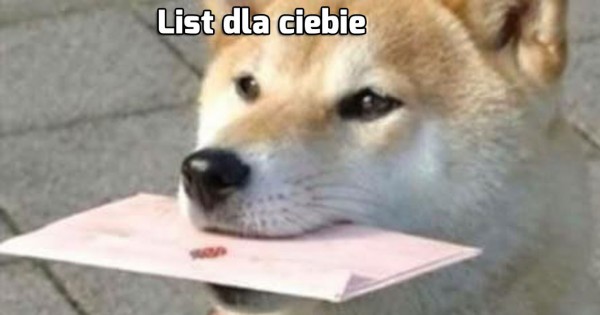 No w sumie... - Jeja.pl