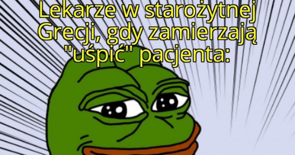 żaba 1172+ Najlepszych Memów Jeja.pl