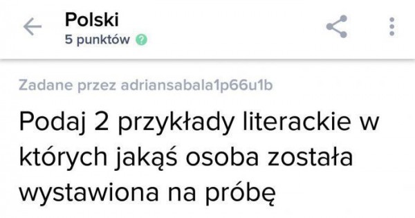 W sumie racja - Jeja.pl