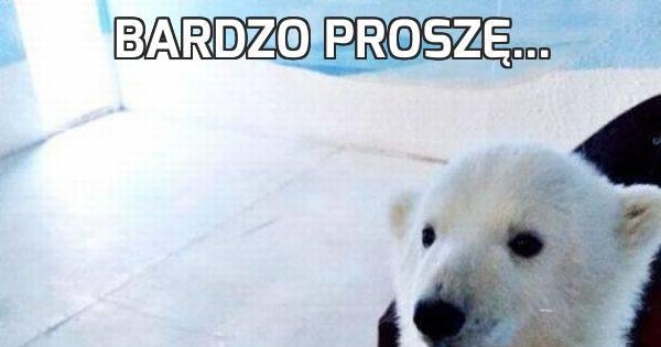 Bardzo proszę... - Jeja.pl