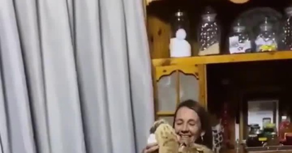 Kitku chce mlecka - Jeja.pl