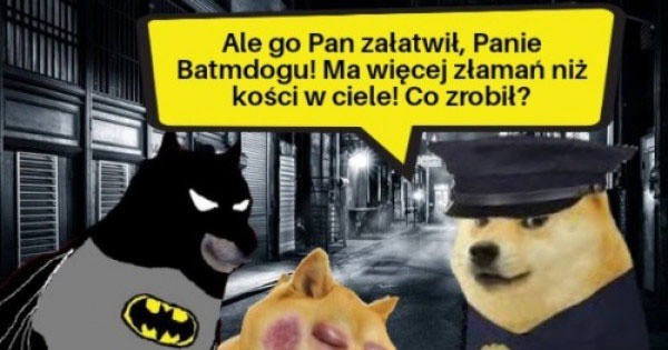 Bohater jakiego za mało głaskamy - Jeja.pl