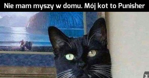 Bohater domu - Jeja.pl