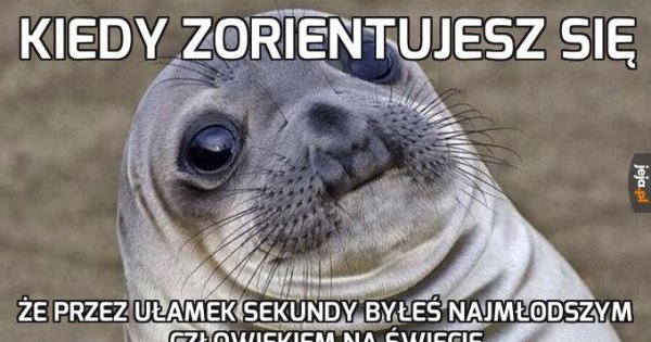 Ojej, to słodkie - Jeja.pl