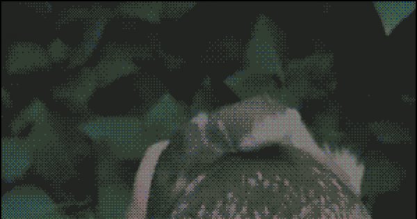 Niewzruszona sowa - Jeja.pl