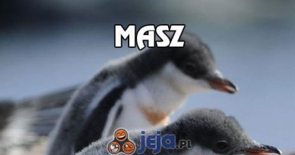 Masz jakiś problem!? - Jeja.pl