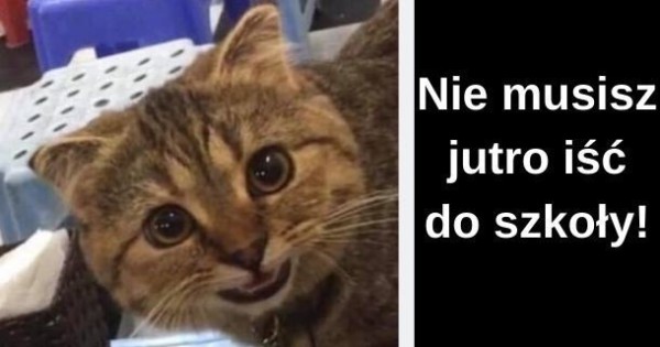 Smutek - Jeja.pl