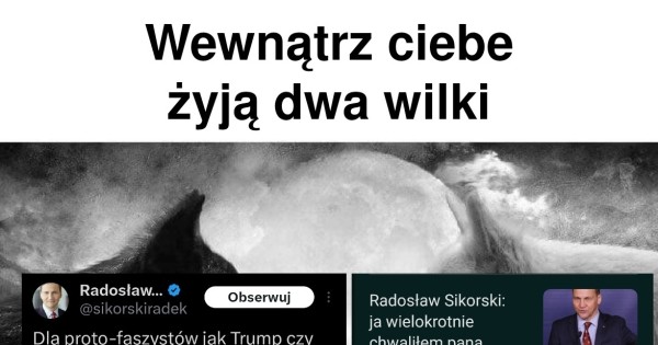 Hmmm - Jeja.pl