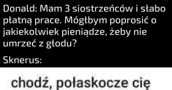 Ktoś prosił o memy z Donalda to prosze - Jeja.pl