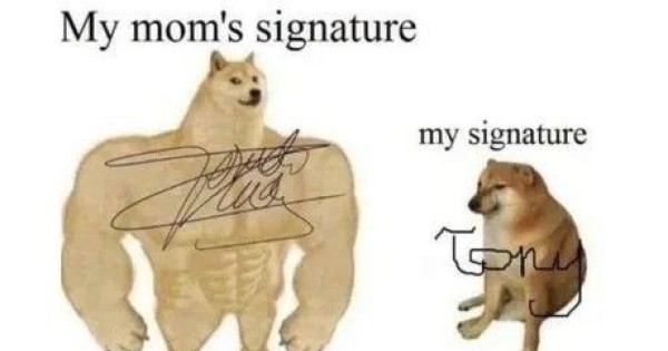 Tumulec, Kamil Tumulec - Jeja.pl