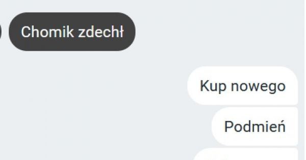 Chomik zdechł - Jeja.pl