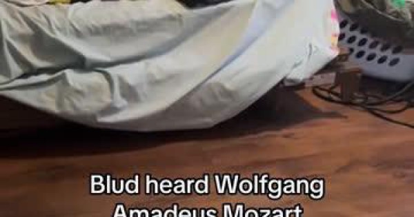 Kitku posting - Jeja.pl