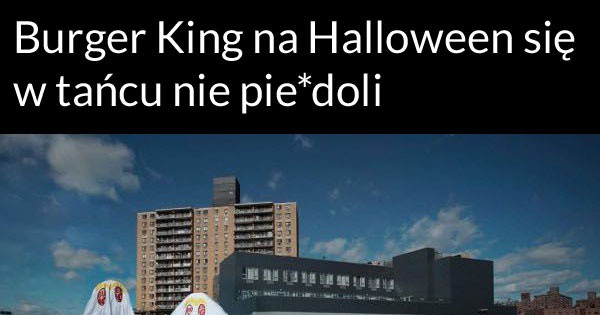 Mają dystans, szacun - Jeja.pl