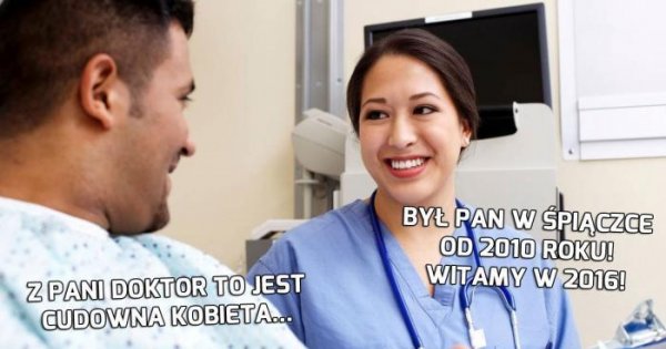 O ty świnio - Jeja.pl