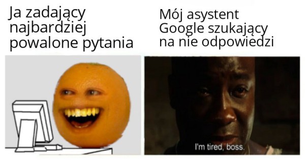 Po prostu daj mi umrzeć - Jeja.pl