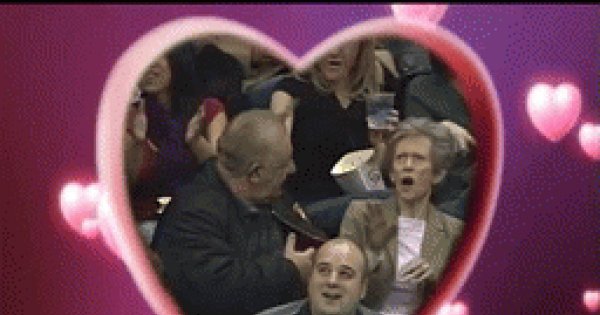 Gilf alert - Jeja.pl