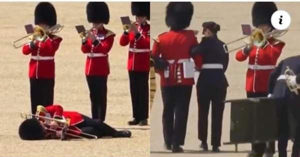 Wariat chyba jakiś - Jeja.pl